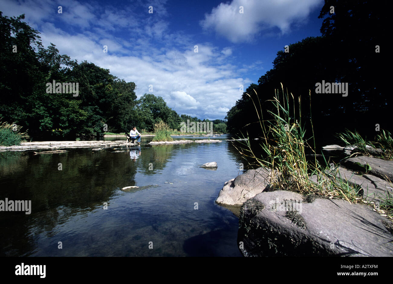 Woman and dog in the River Usk at Cefn-Brynich, Brecon Beacons National ...