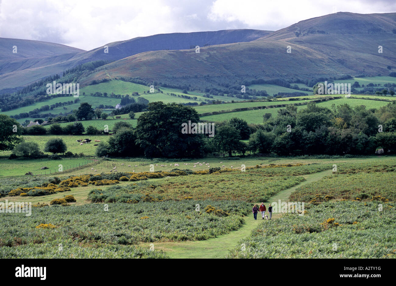 Family walking on the common near the National Park Visitor Centre at ...