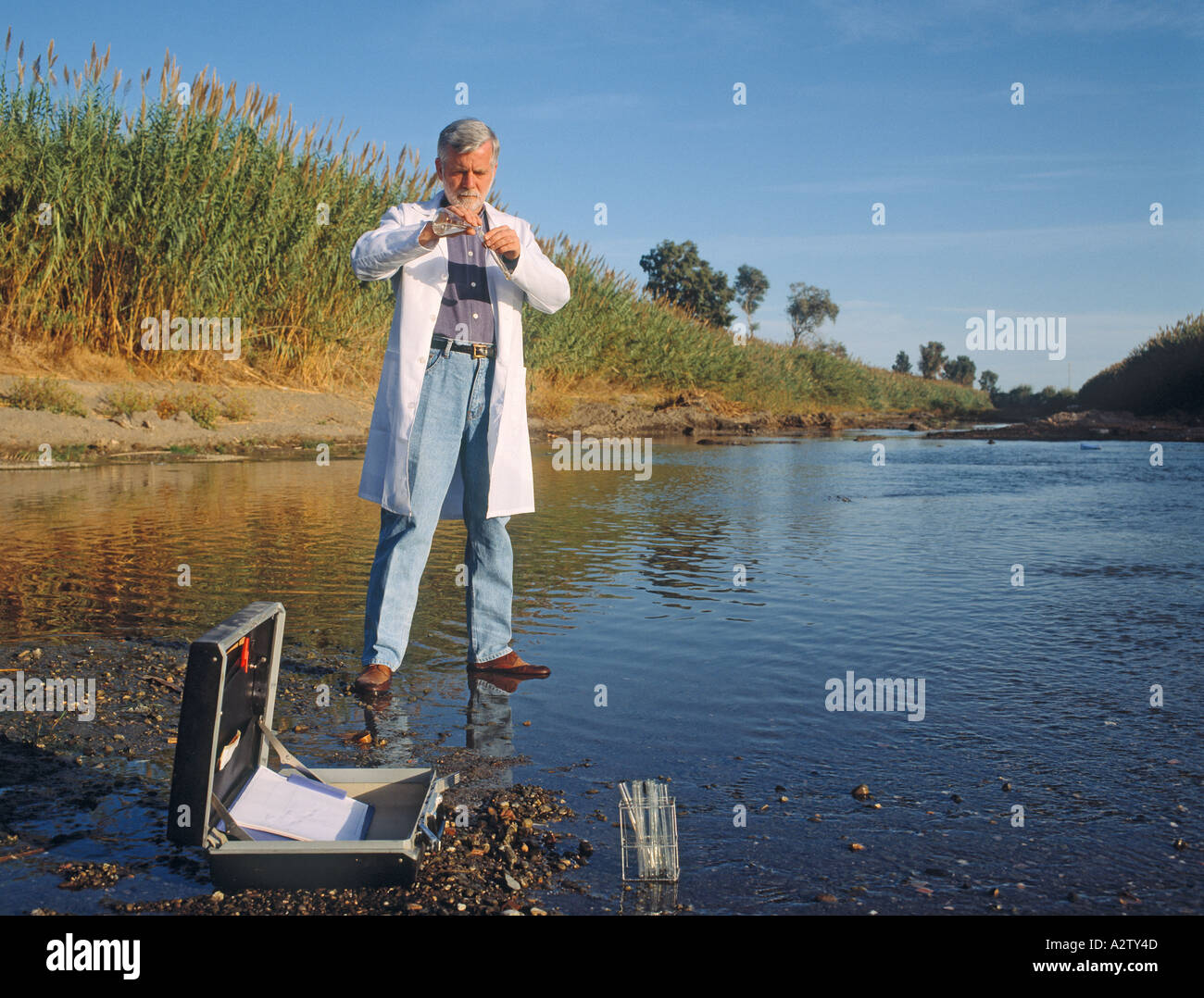 Scientist testing river water for pollution Stock Photo - Alamy