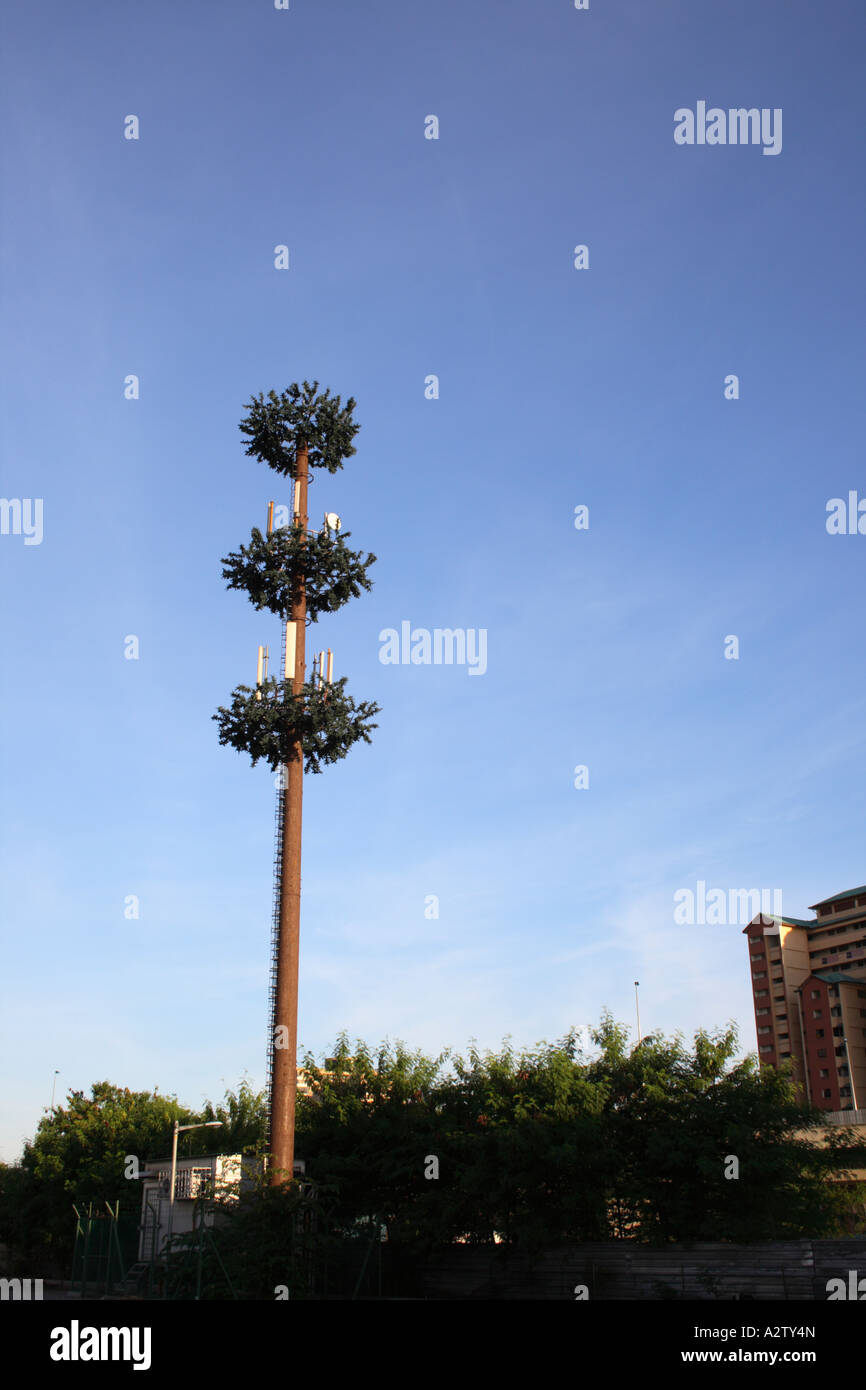 mobile phone antenna tower shaped like a tree Stock Photo - Alamy