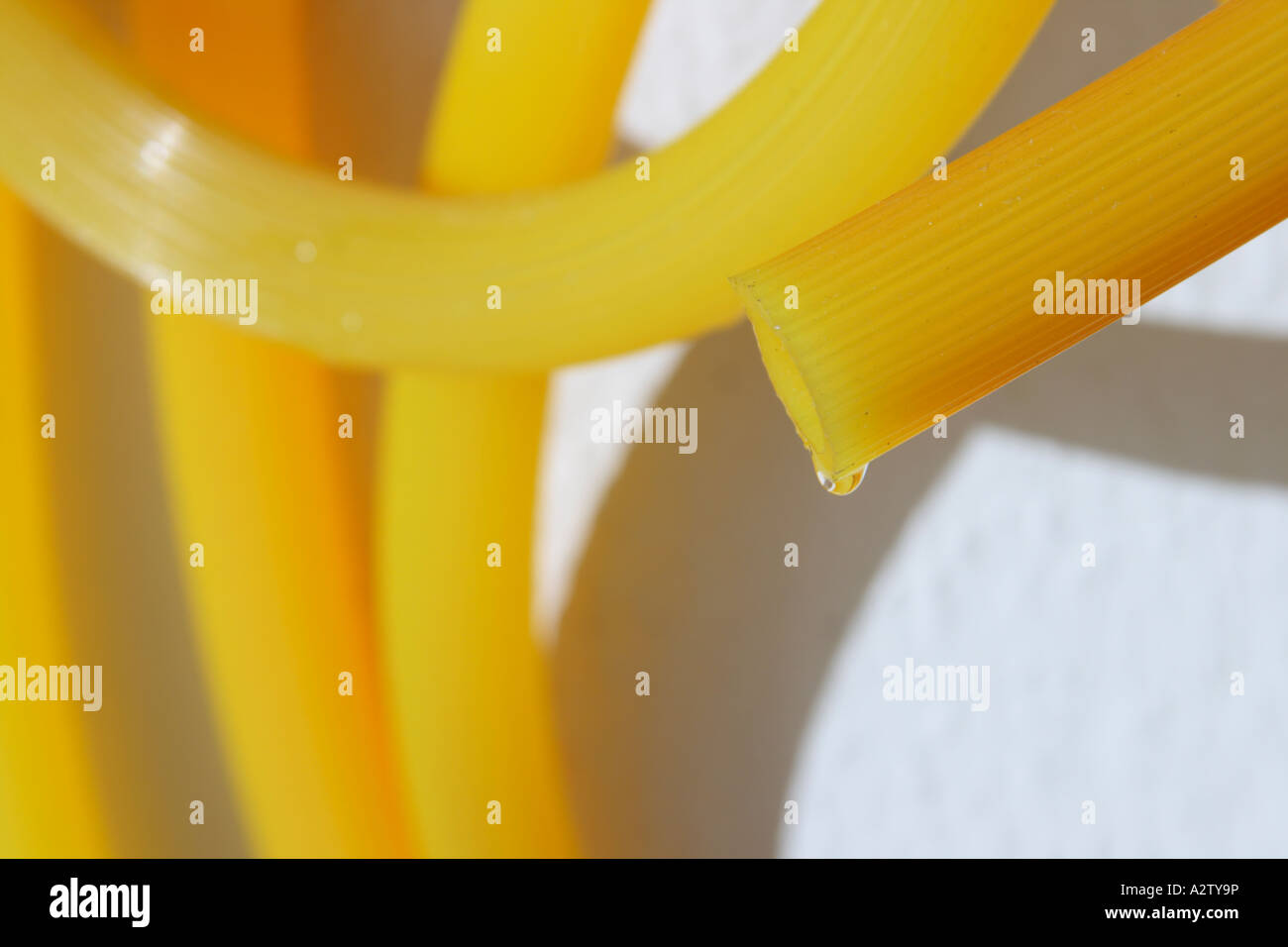 yellow pvc water hose Stock Photo - Alamy