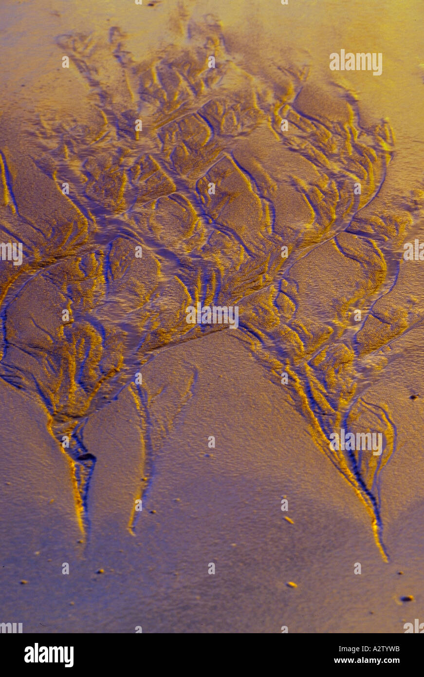 Gold Blue Beach Stock Photo - Alamy