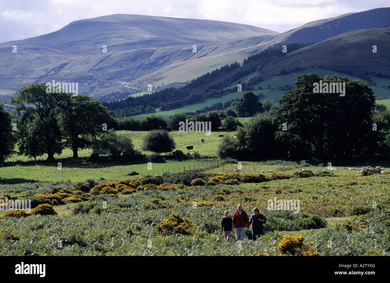 Walkers on the common near the National Park Visitor Centre at Libanus ...