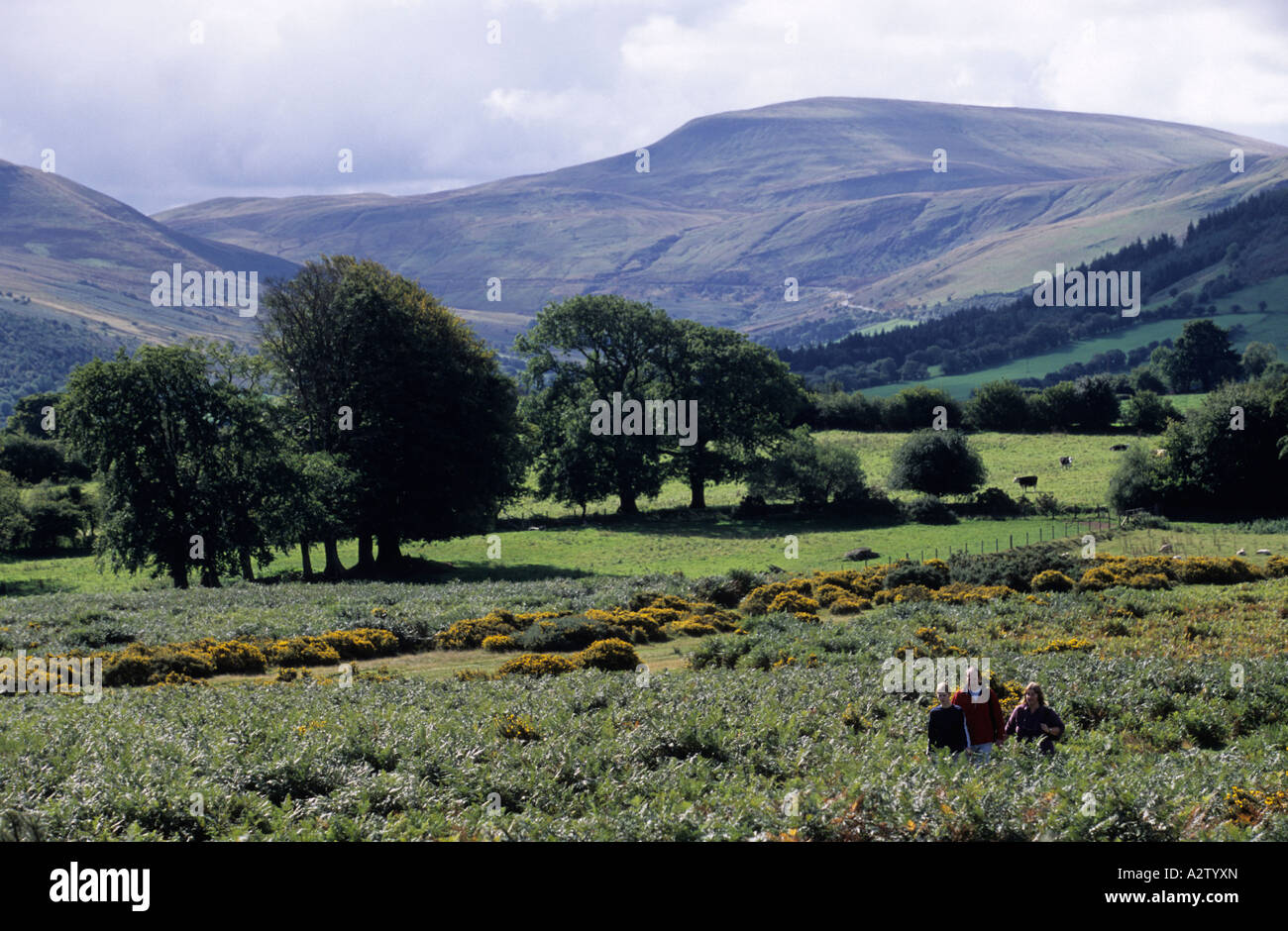 Walkers on the common near the National Park Visitor Centre at Libanus ...