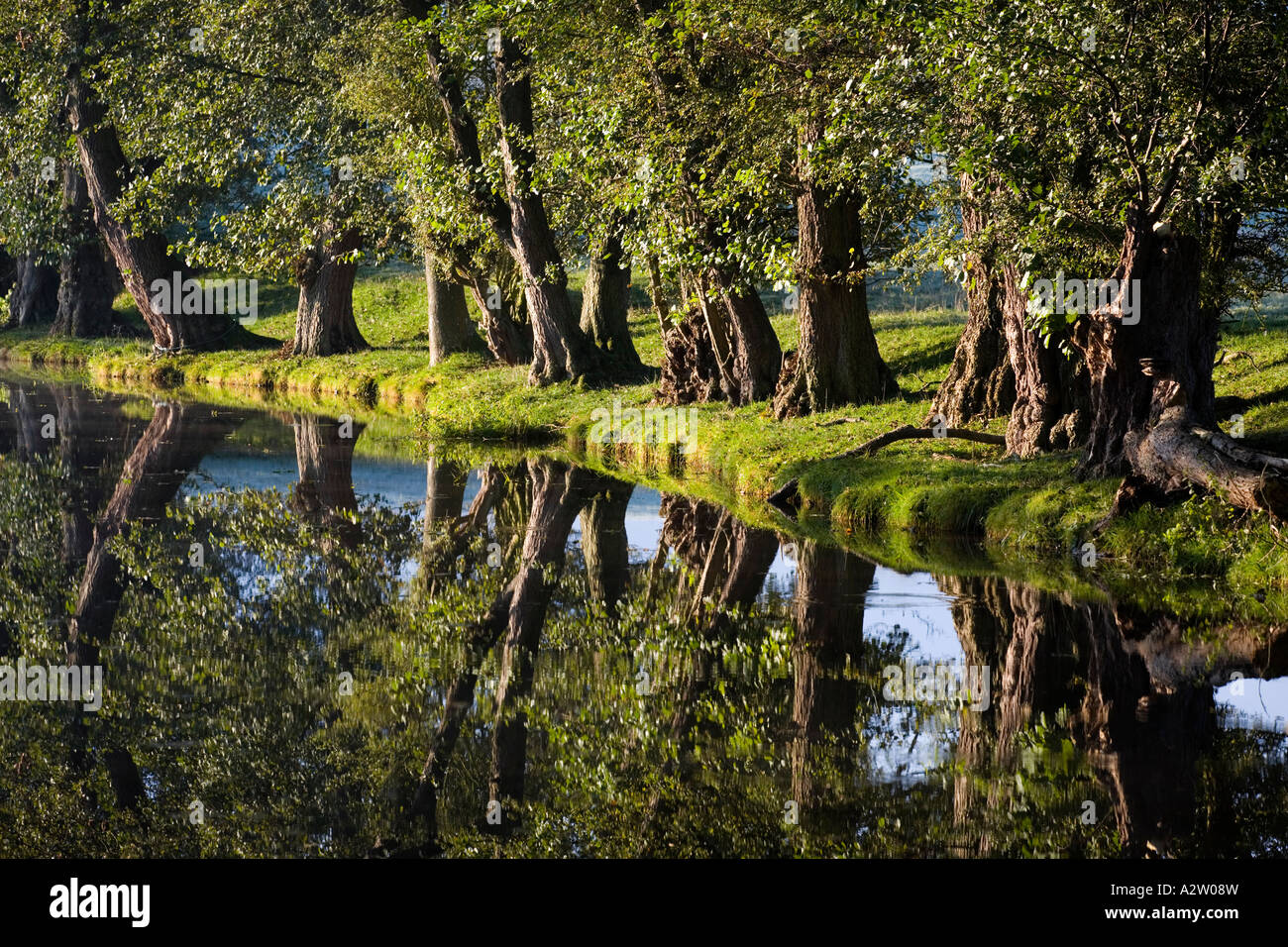 Trees reflected in water at Talybont-on-Usk, Brecon Beacons National ...