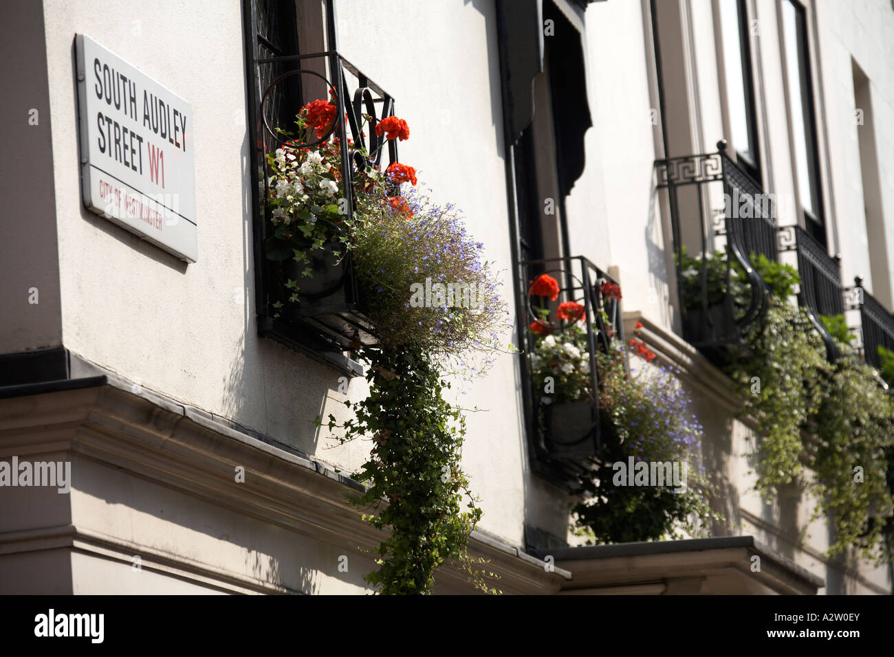 South Audley Street sign with flower baskets in Mayfair London W1 ...