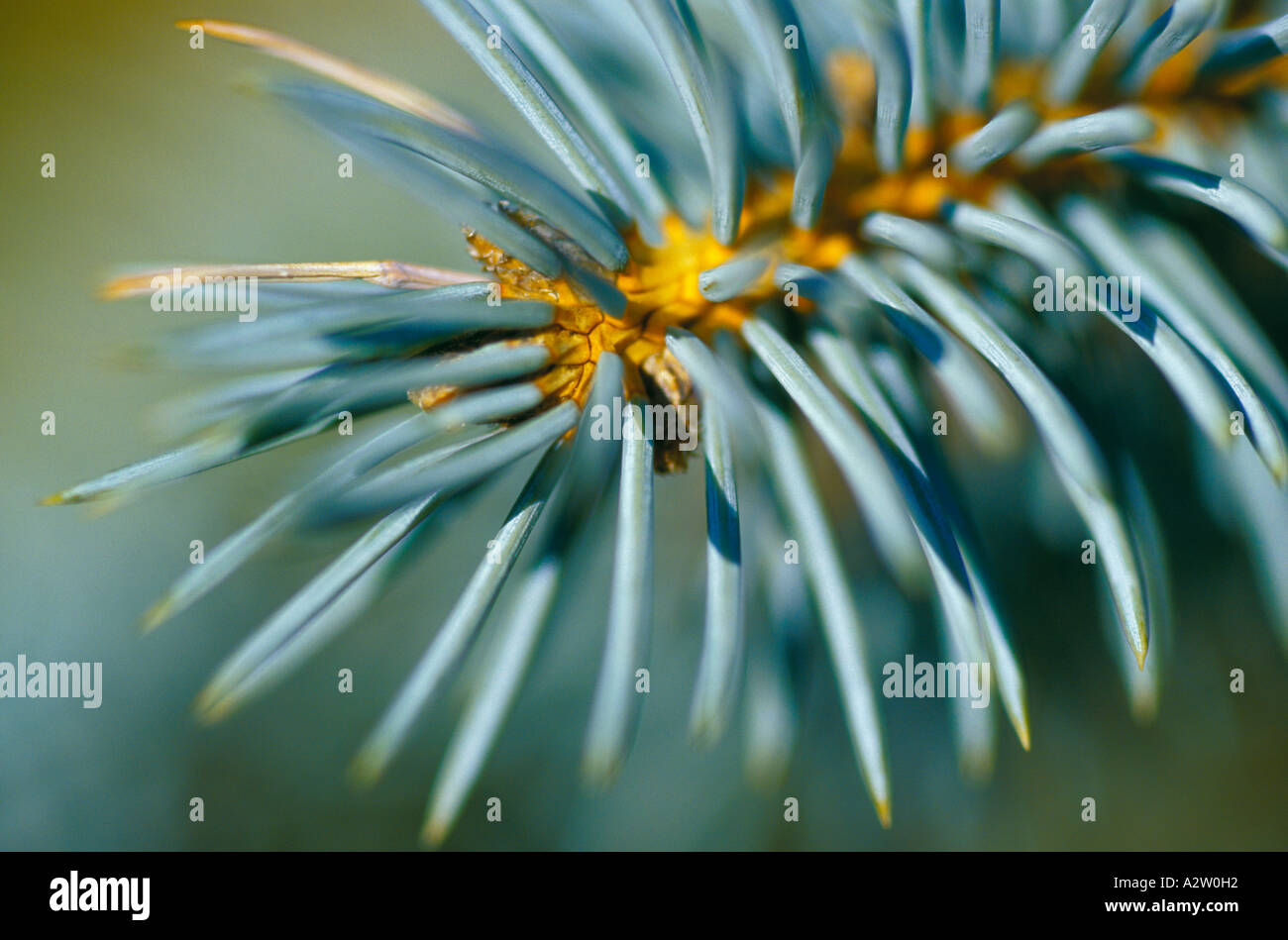 Specular light hi-res stock photography and images - Alamy