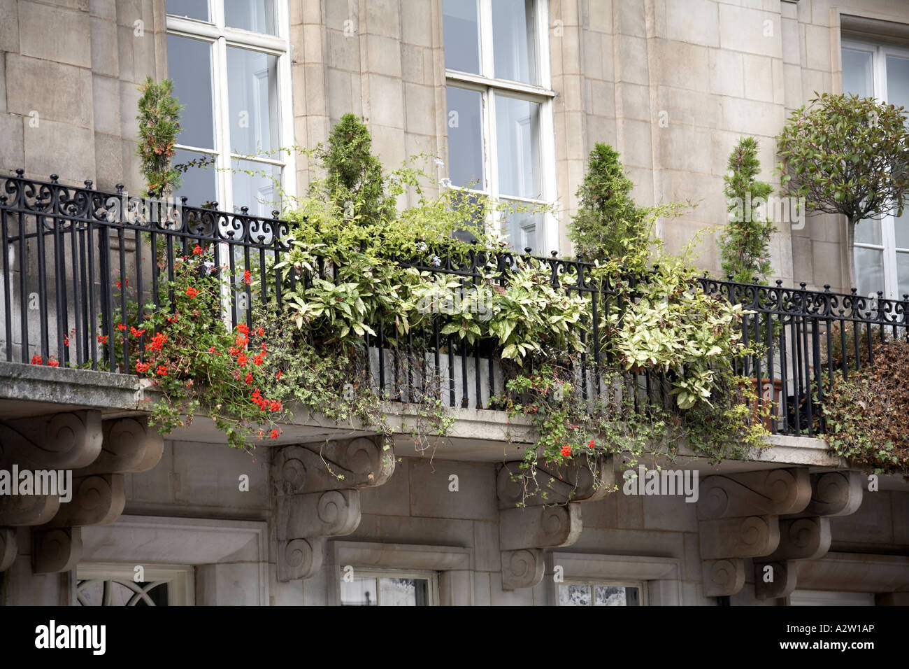 Flowers and plants on balcony of Victorian terraced house in Wilton ...