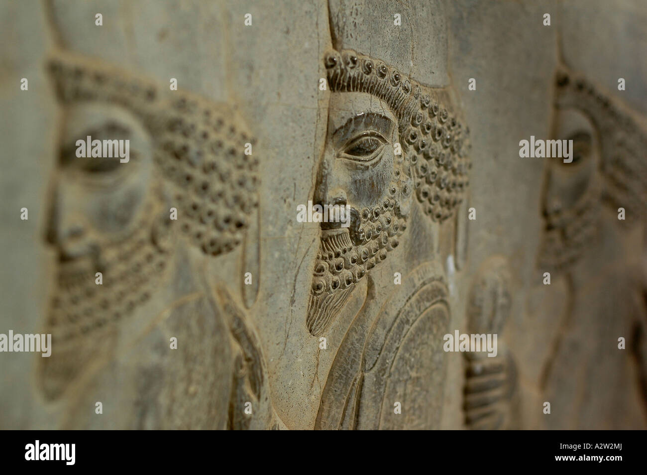 Bas relief of Persian soldiers in the Persepolis archeological site ...