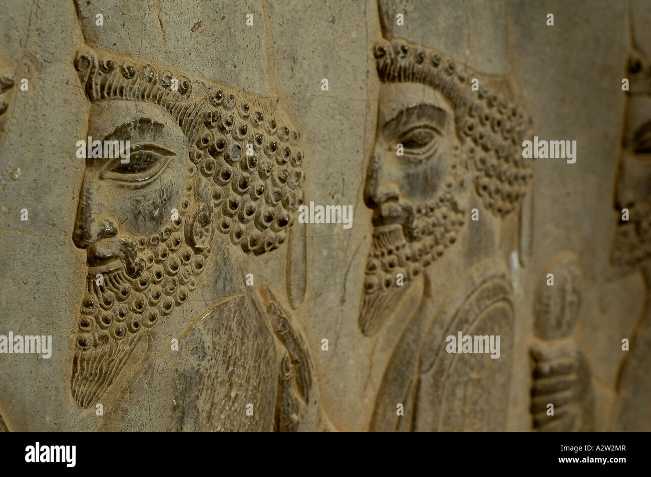 Bas relief of Persian soldiers in the Persepolis archeological site ...