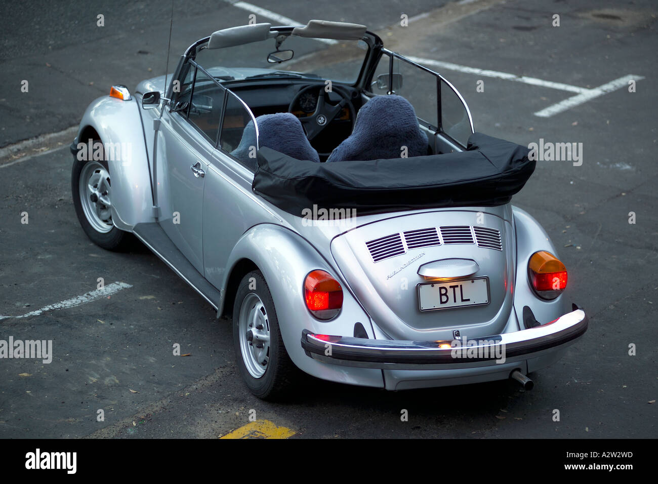 Bug from above Stock Photo - Alamy
