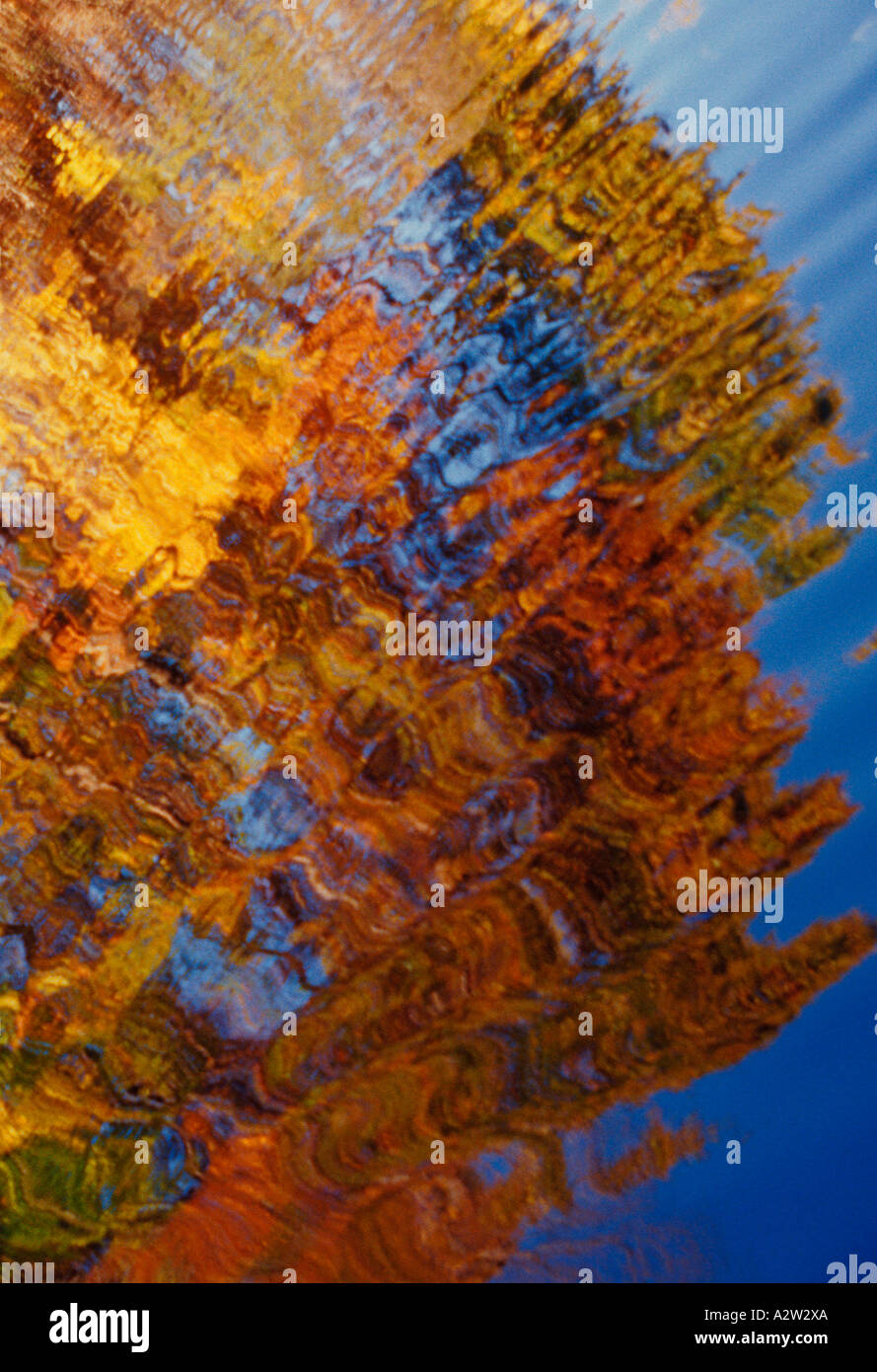 Autumn Splash of Color Stock Photo - Alamy