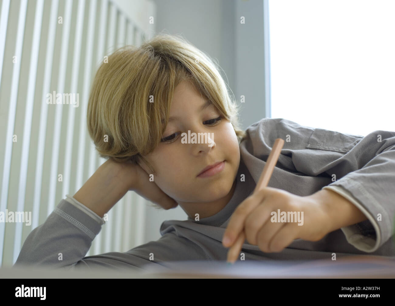 Boy doing homework Stock Photo - Alamy