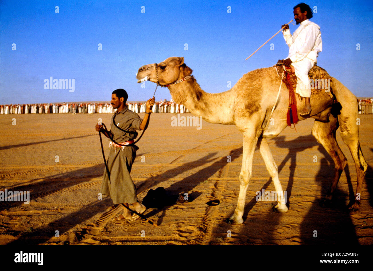 Race racecourse hi-res stock photography and images - Alamy