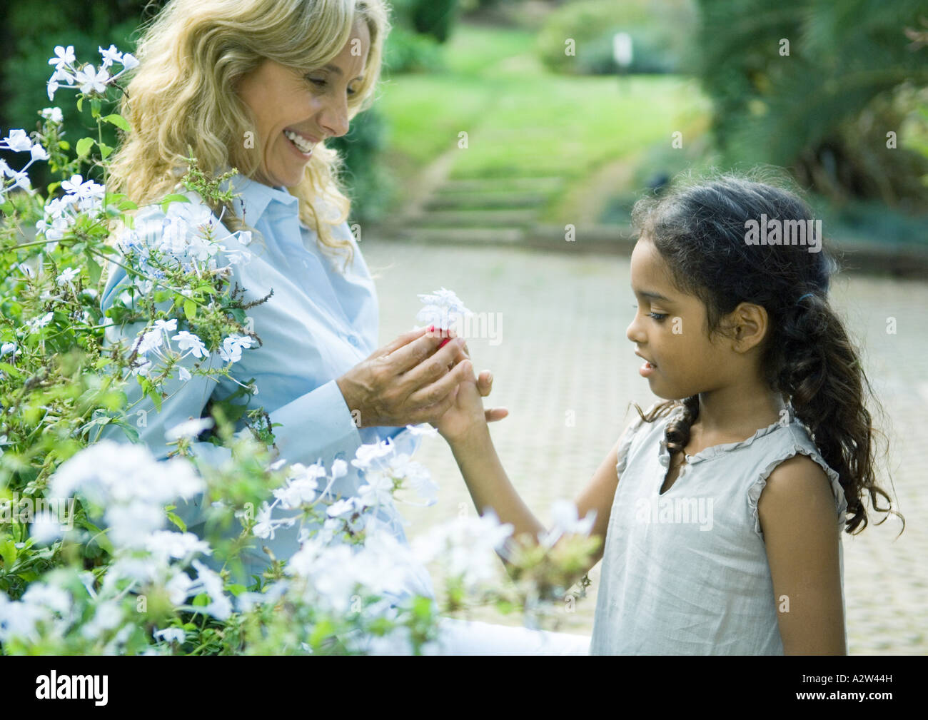 Girl handing flower hi-res stock photography and images - Alamy
