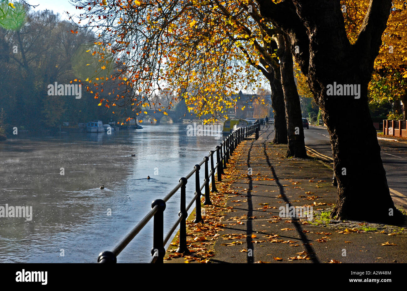 Autumn The River Thames at Maidenhead, Berkshire, England Stock Photo ...