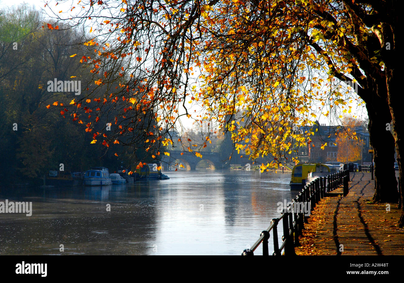 Autumn The River Thames at Maidenhead, Berkshire, England Stock Photo ...