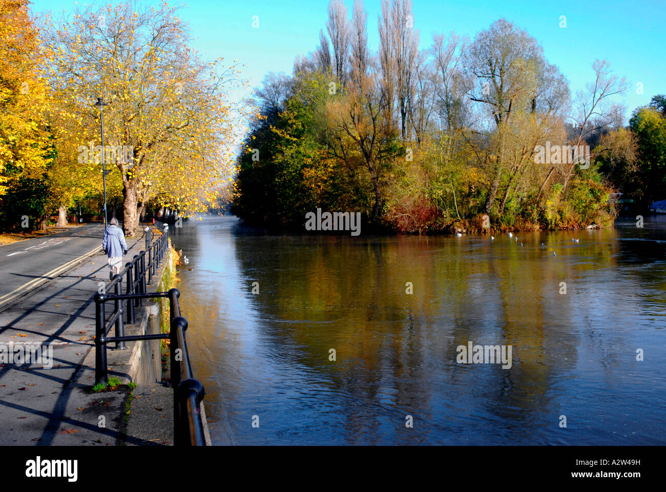 Autumn leaves River Thames at Maidenhead Berkshire England Stock Photo ...