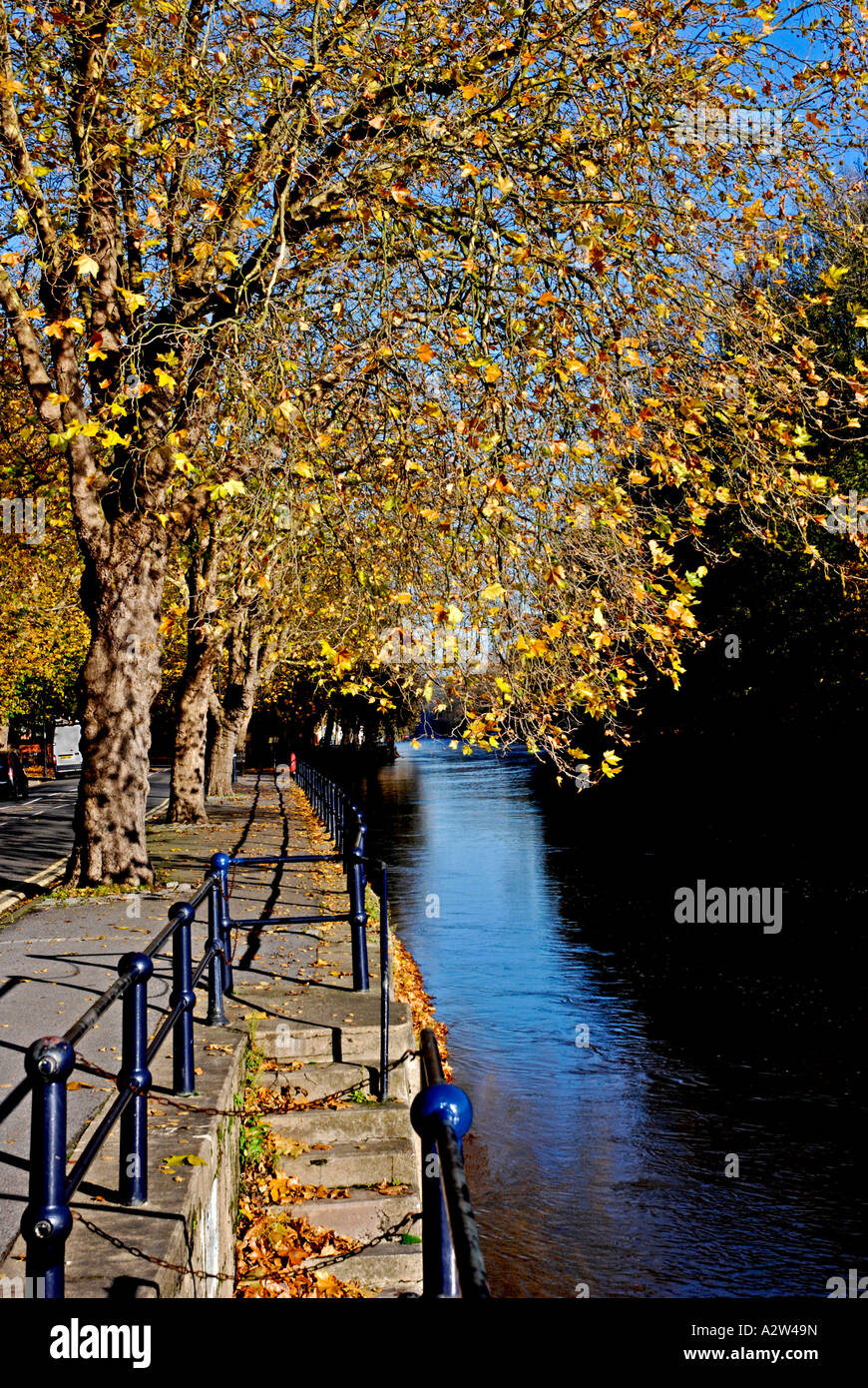 Autumn leaves overhanging River Thames at Maidenhead, Berkshire ...