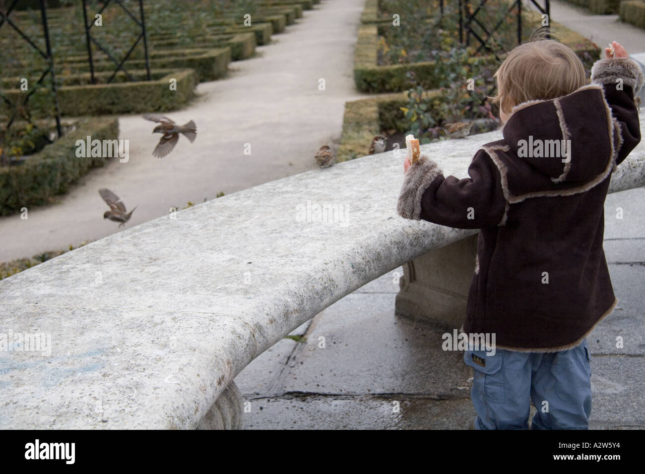 A young boy throws bread to feed the birds Stock Photo - Alamy