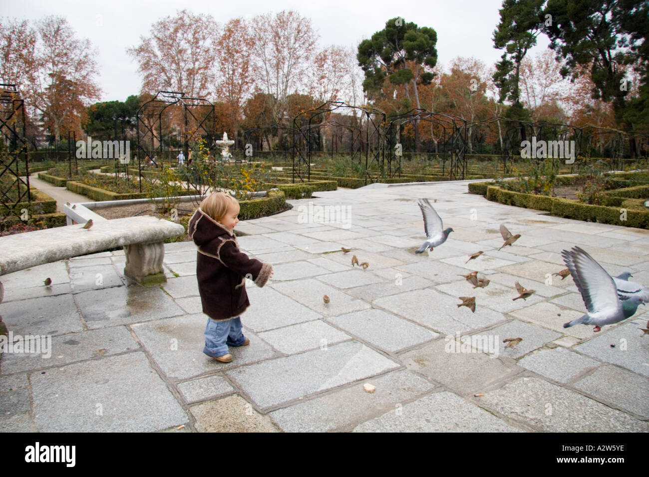 A young boy throws bread to feed the birds Stock Photo - Alamy