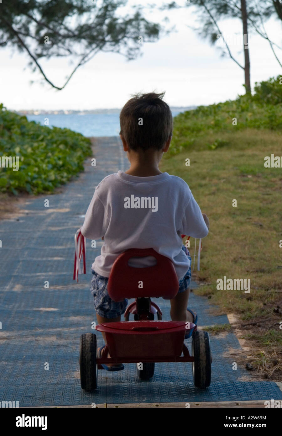 Toddler riding a red tricycle Stock Photo - Alamy