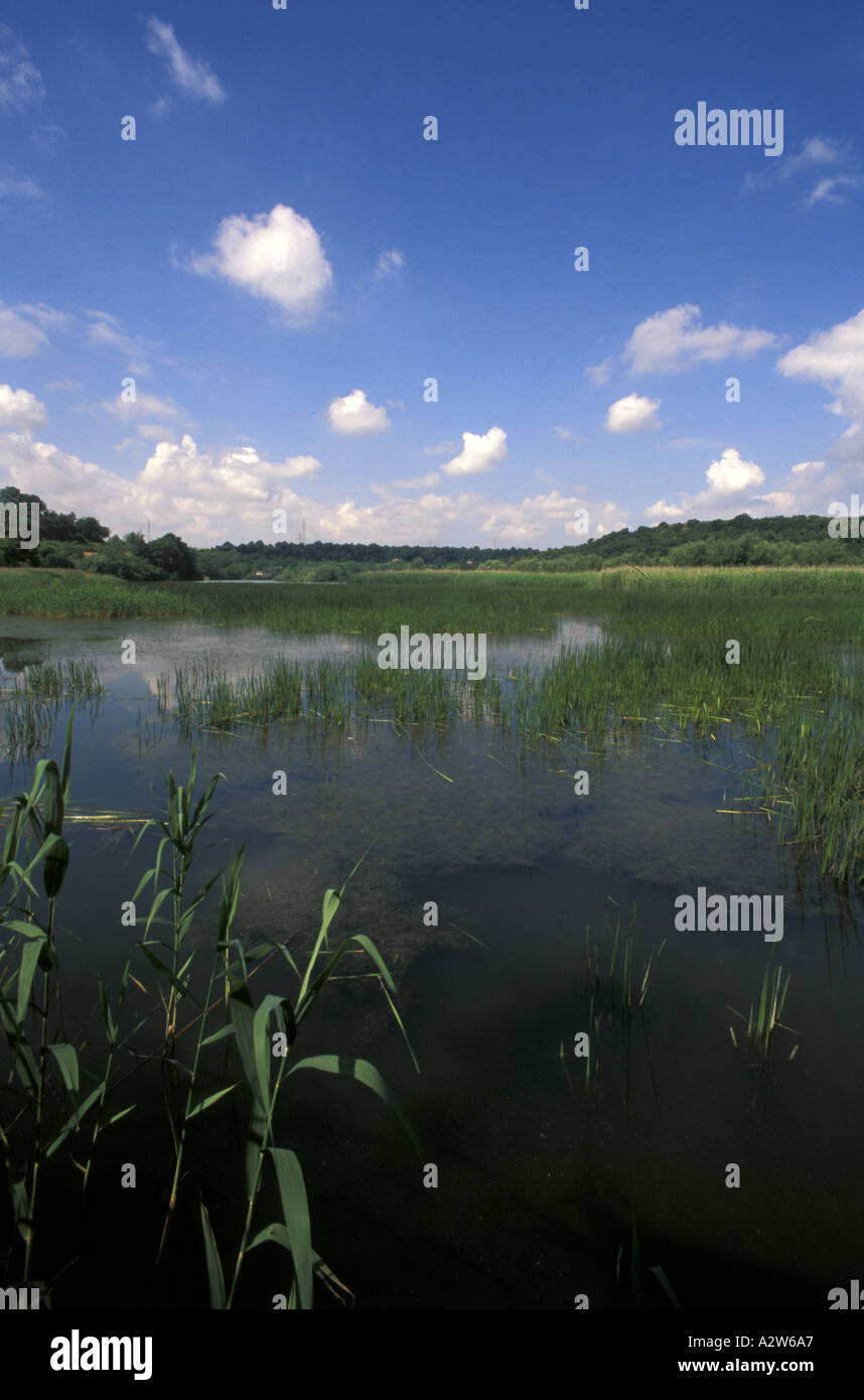 Sele river hi-res stock photography and images - Alamy