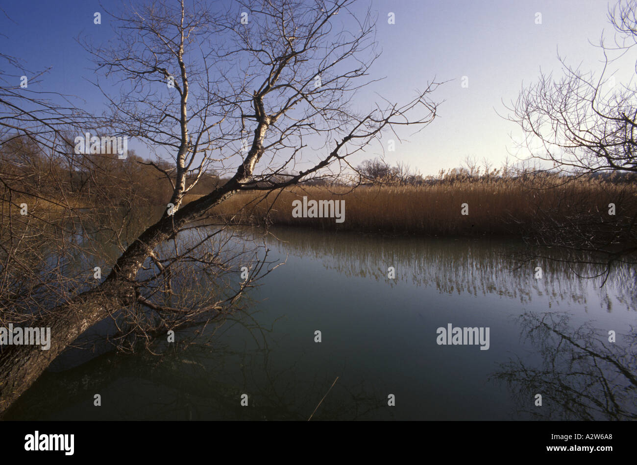 Sele river hi-res stock photography and images - Alamy