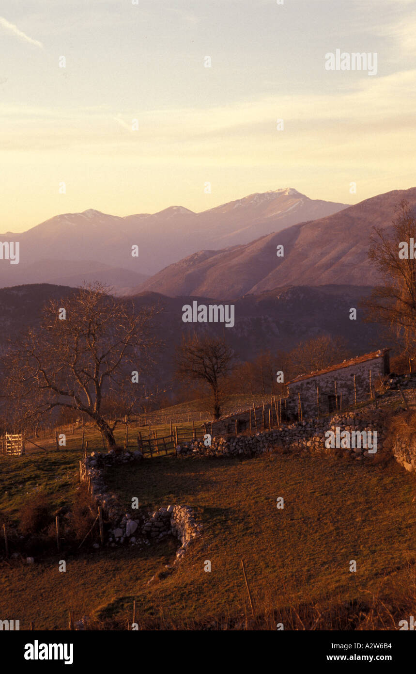 Cocuzzo hi-res stock photography and images - Alamy