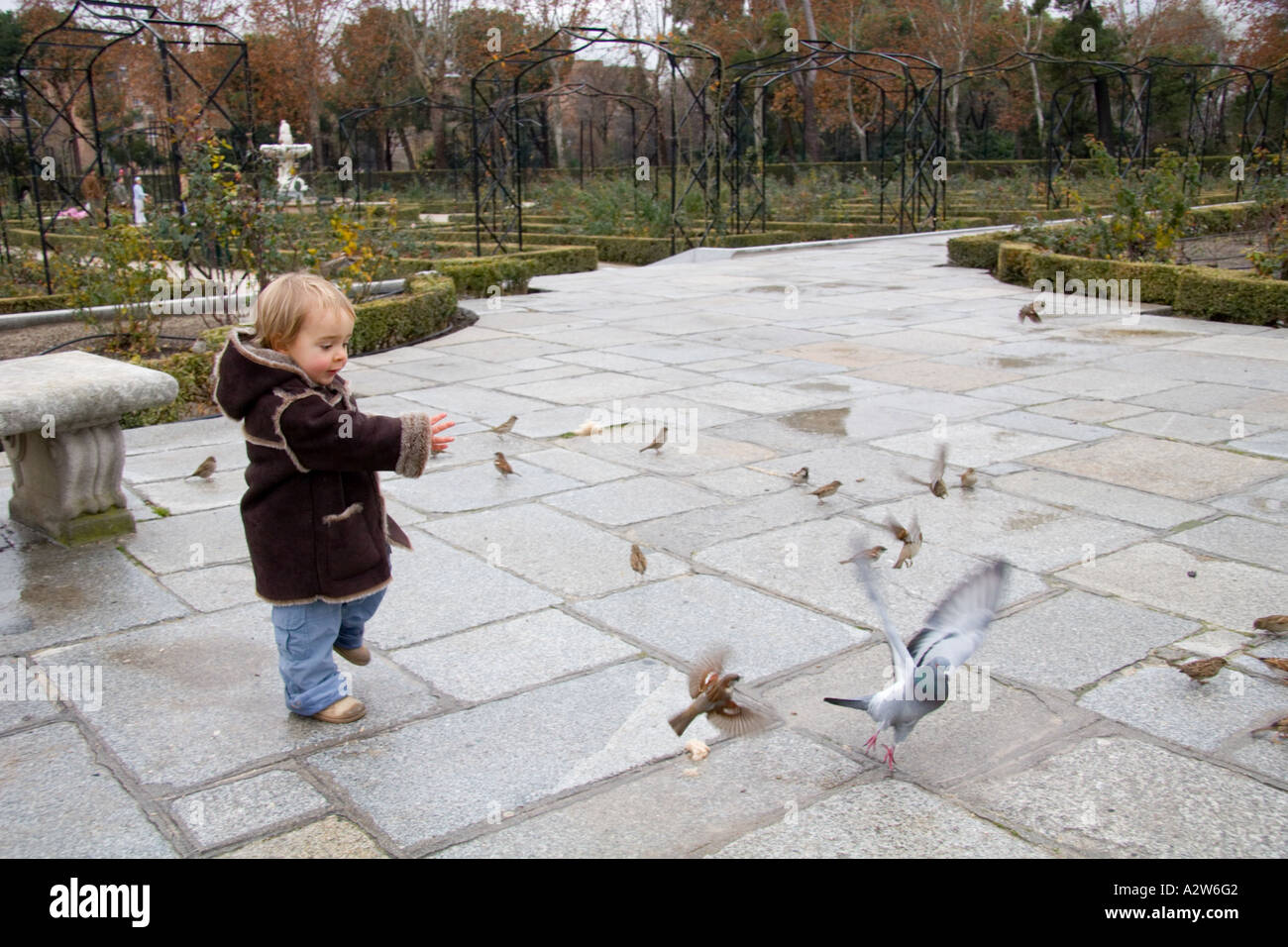 Child bread and birds hi-res stock photography and images - Alamy
