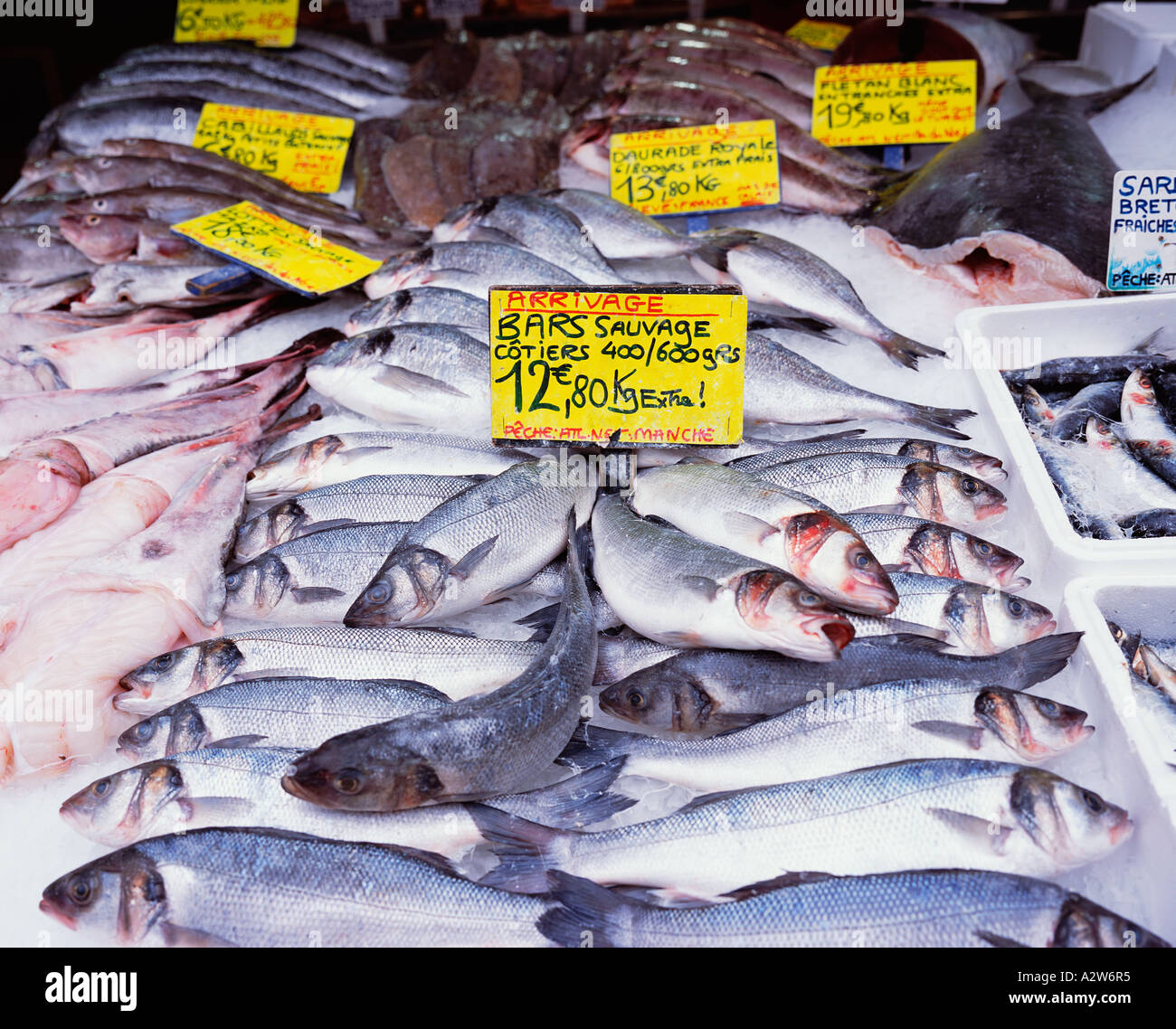 Nord sauvage hi-res stock photography and images - Alamy