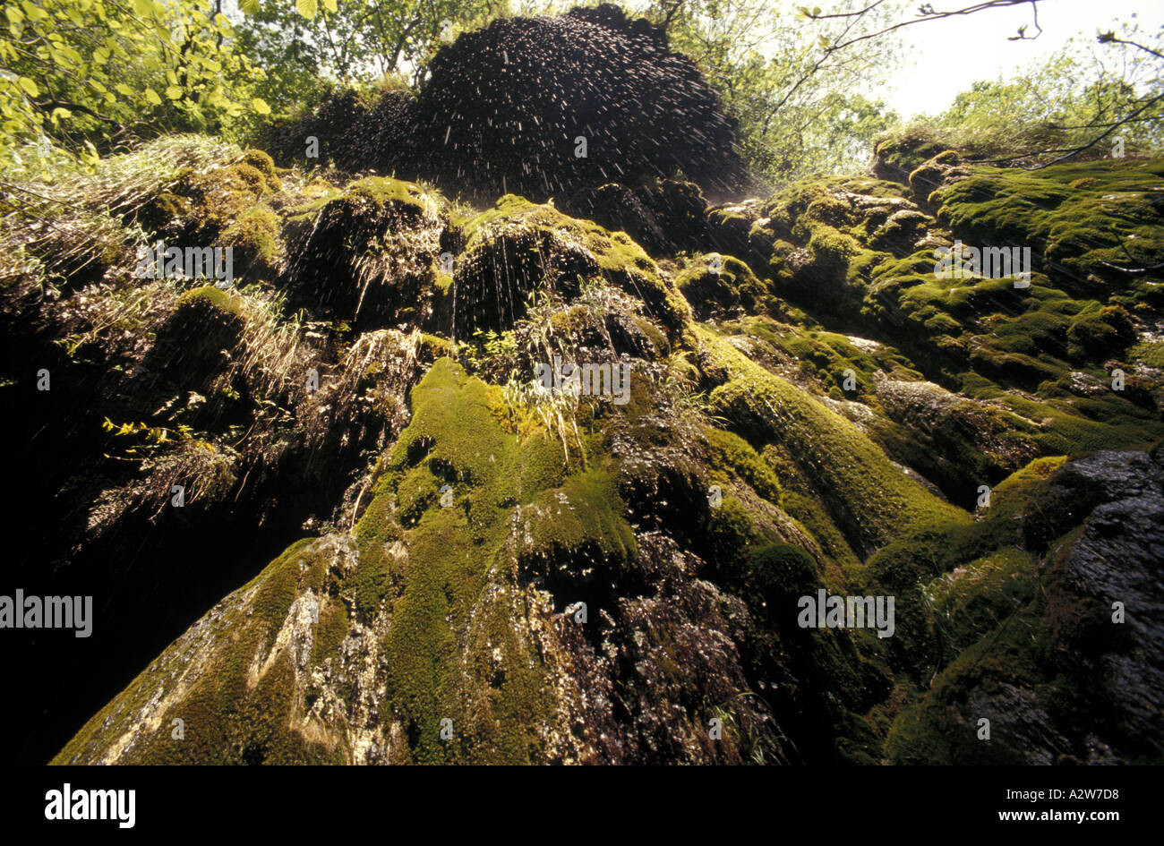 Ferriere High Resolution Stock Photography and Images - Alamy