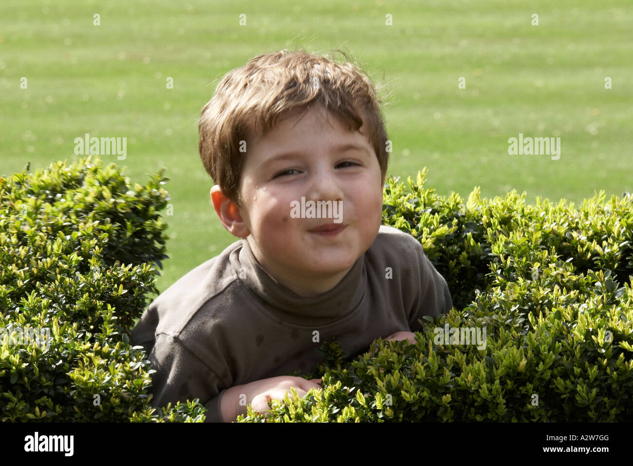 Young boy child in a privet hedge smiling looking cheeky in Finsbury ...