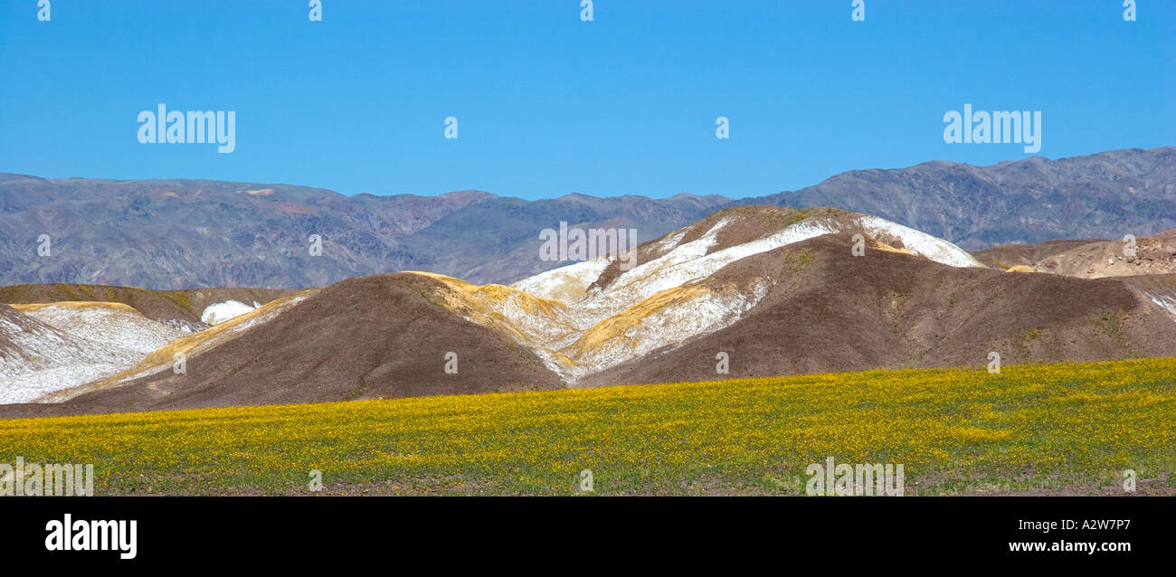 Covered in wild flowers hi-res stock photography and images - Alamy