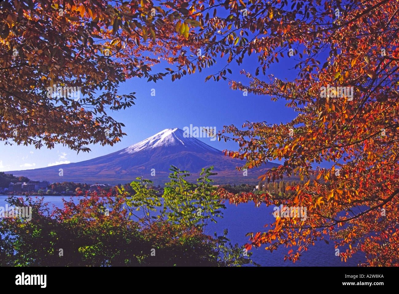Mount Fuji with fall color, Japan Stock Photo - Alamy