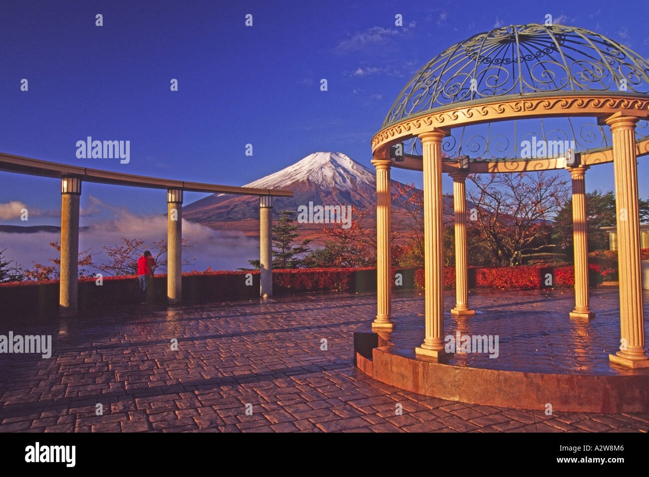 Mount Fuji with fall color, Japan Stock Photo - Alamy
