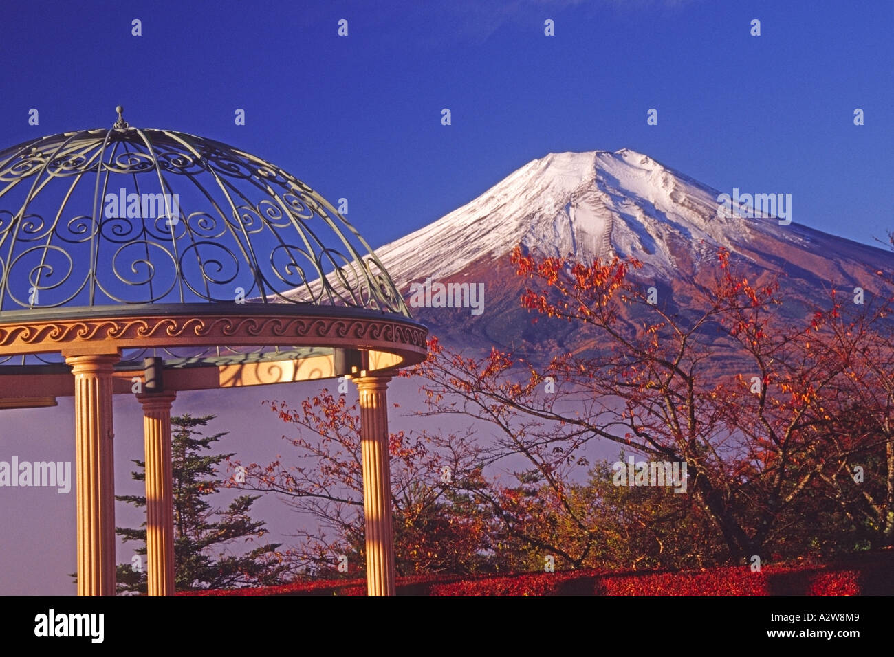 Mount Fuji with fall color, Japan Stock Photo - Alamy