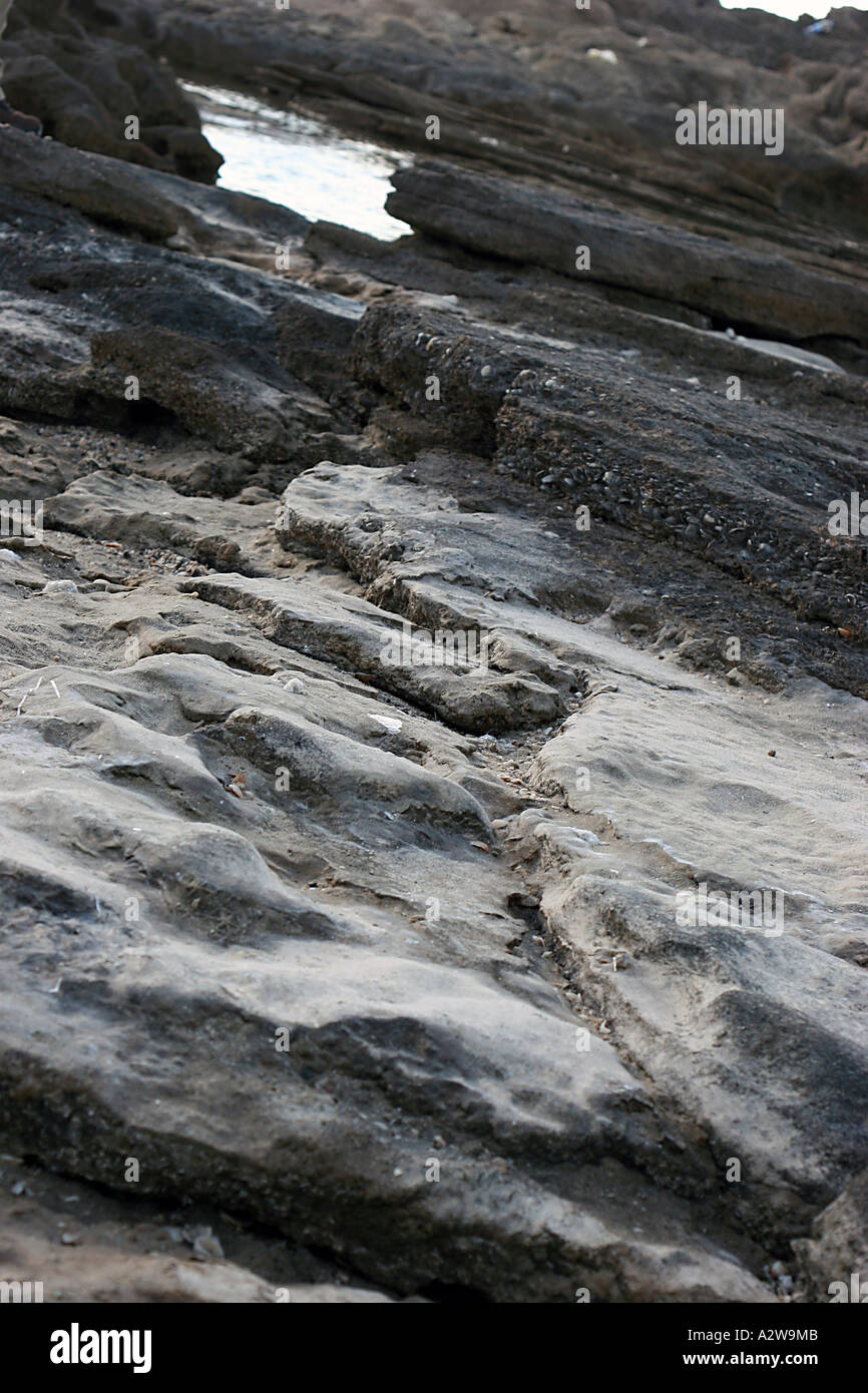 Shells formation hi-res stock photography and images - Alamy