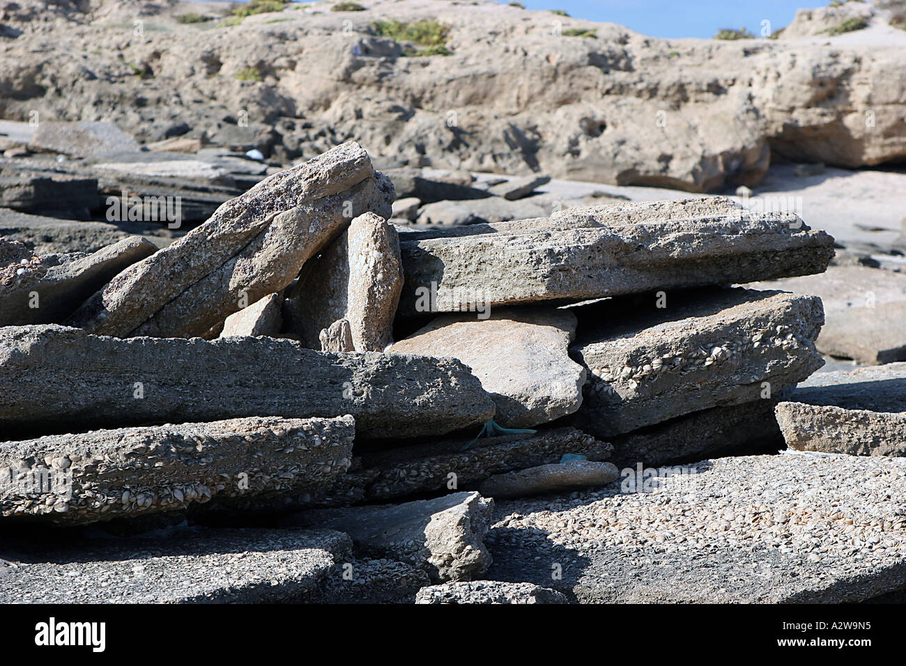 Rock Formation on Habonim beach Israel Stock Photo - Alamy