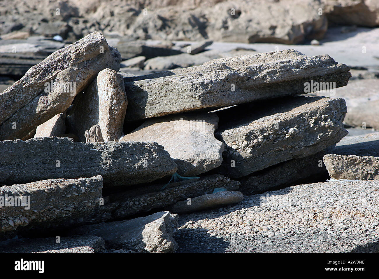 Rock Formation on Habonim beach Israel Stock Photo - Alamy