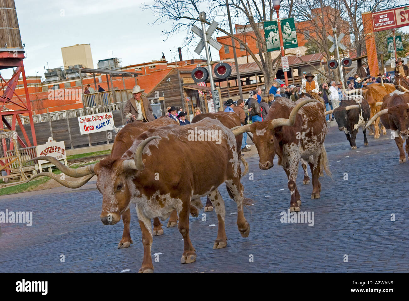 Cattlemen railroad hi-res stock photography and images - Alamy