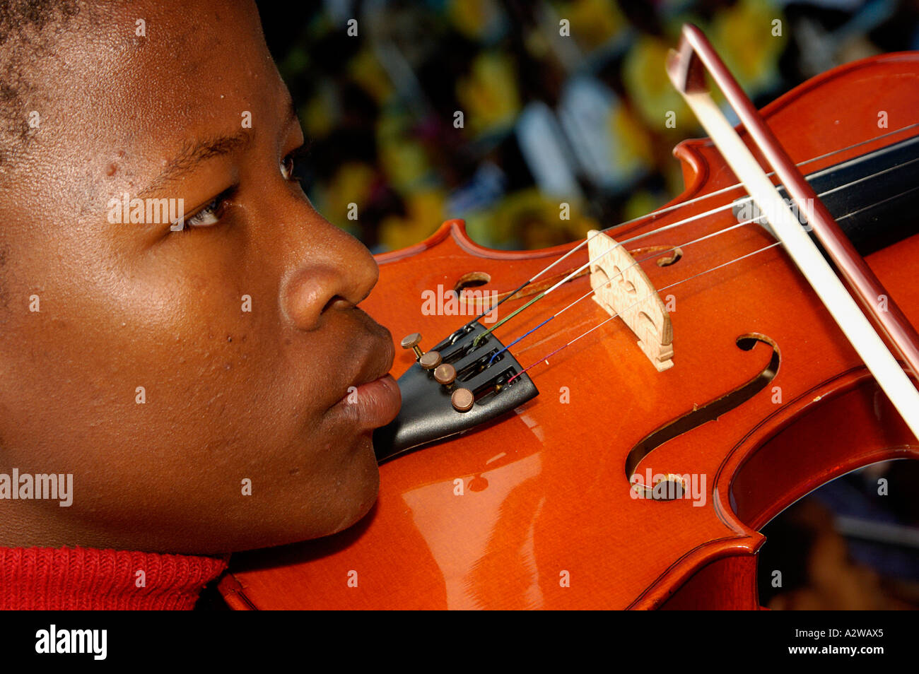 African stringed instrument hi-res stock photography and images - Alamy