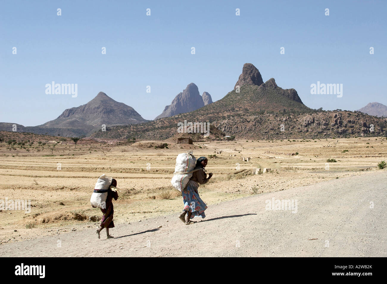 Two women carrying heavy loads with Adwa mountains in distance northern ...