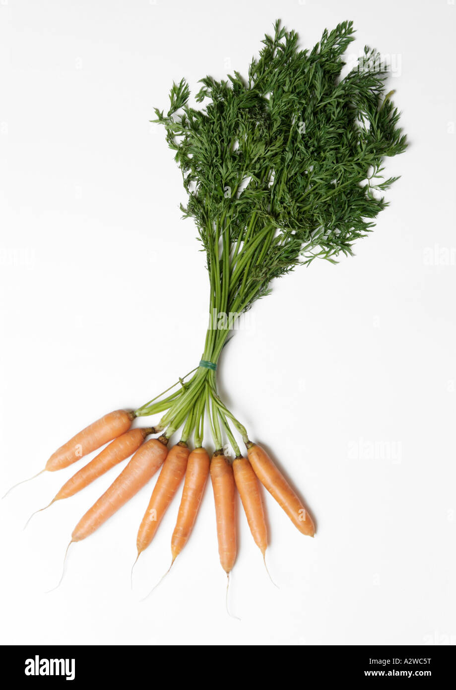 bunch of fresh carrots Stock Photo - Alamy