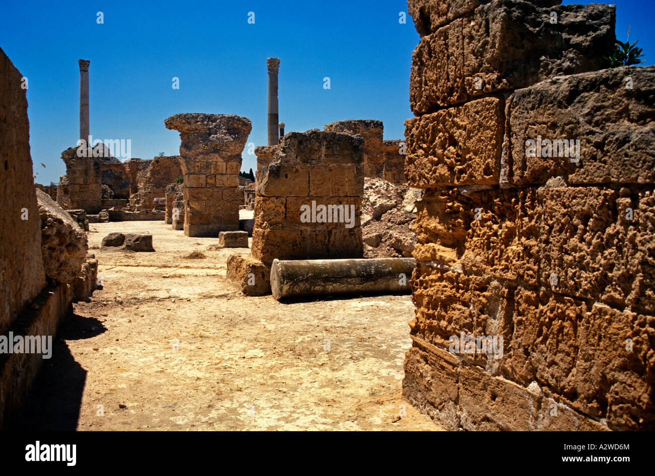 Remains ancient site carthage tunisia hi-res stock photography and ...