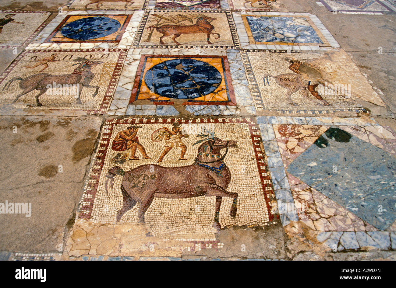 Tunisia Carthage mosaics at the Roman Villa Stock Photo - Alamy