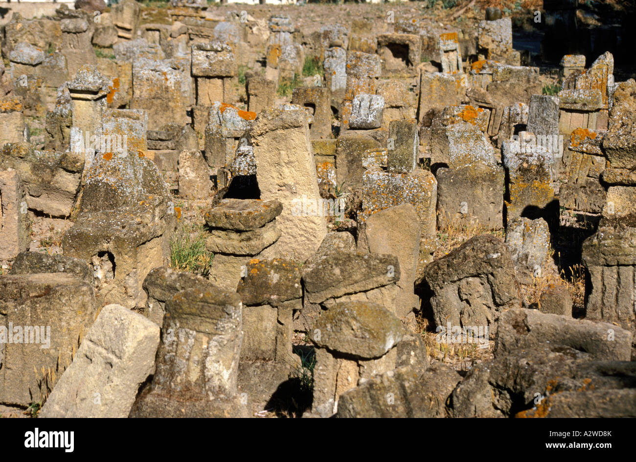 Tunisia Tunis the Punic Tophet at Carthage gravestones Stock Photo - Alamy