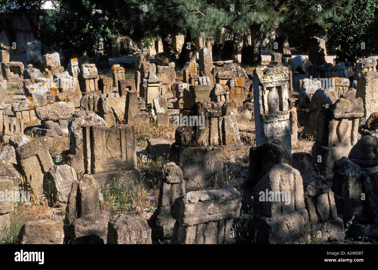 Tunisia Tunis the Punic Tophet at Carthage gravestones Stock Photo - Alamy