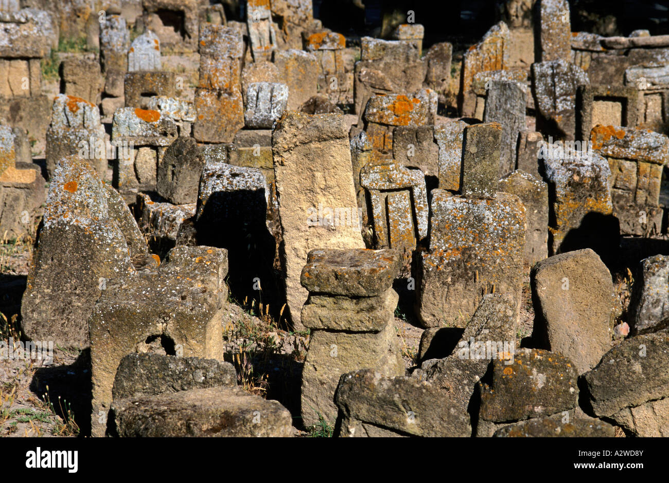 Tunisia Tunis the Punic Tophet at Carthage gravestones Stock Photo - Alamy