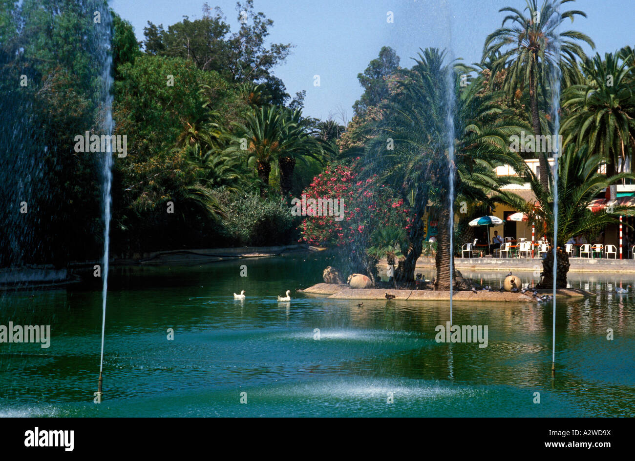 Tunisia Tunis the fountains at the entrance to Belvedere Park Stock ...